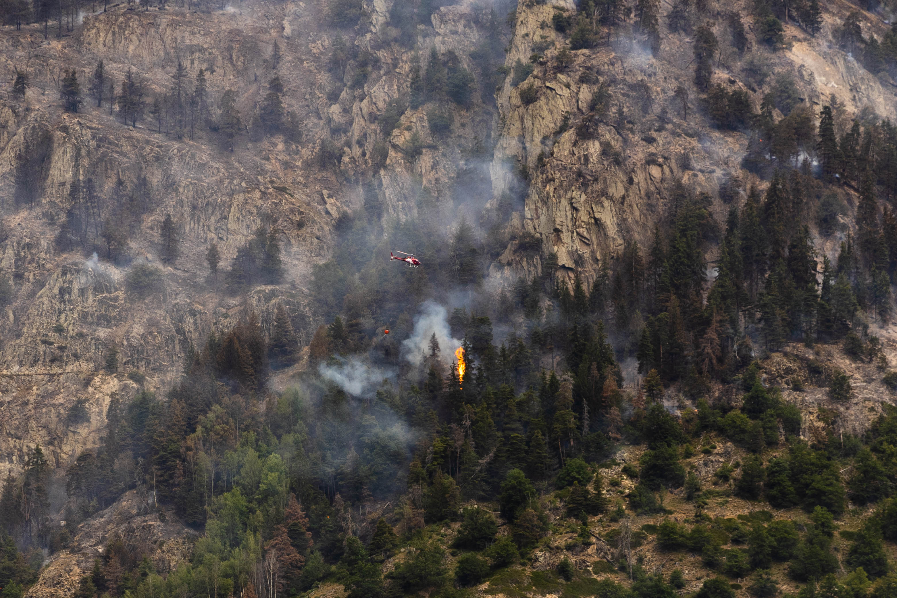 Forest fire near Bitsch: Over 24 hours of fire-fighting operations ...